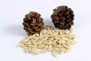 Cedar nuts