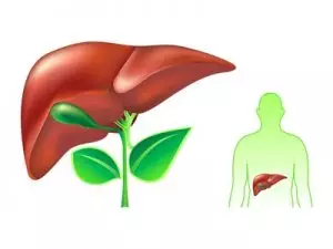 Dieta del fegato Prodotti utili per fegato