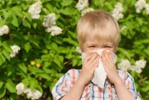 Alergia u detí