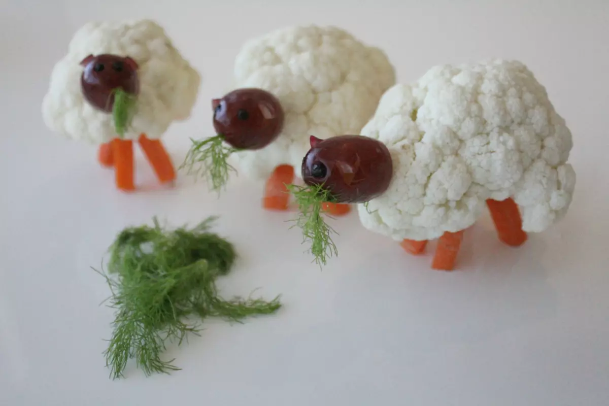花椰菜羊肉：碩士課程，製造說明