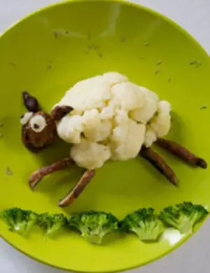 花椰菜羊肉：碩士課程，製造說明