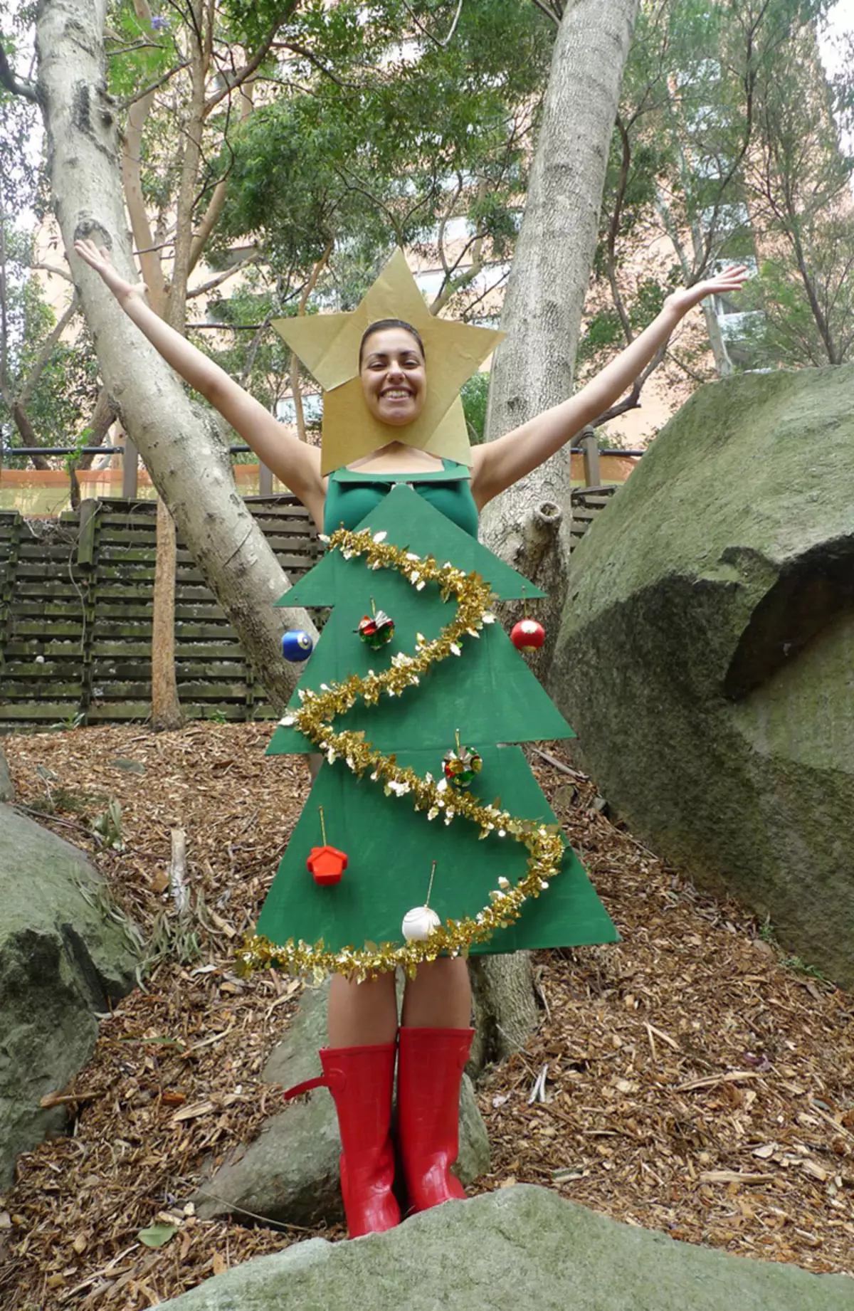 Vestit de l'arbre de Nadal. Com fer que el vestit de l'arbre d'Any Nou ho faci?