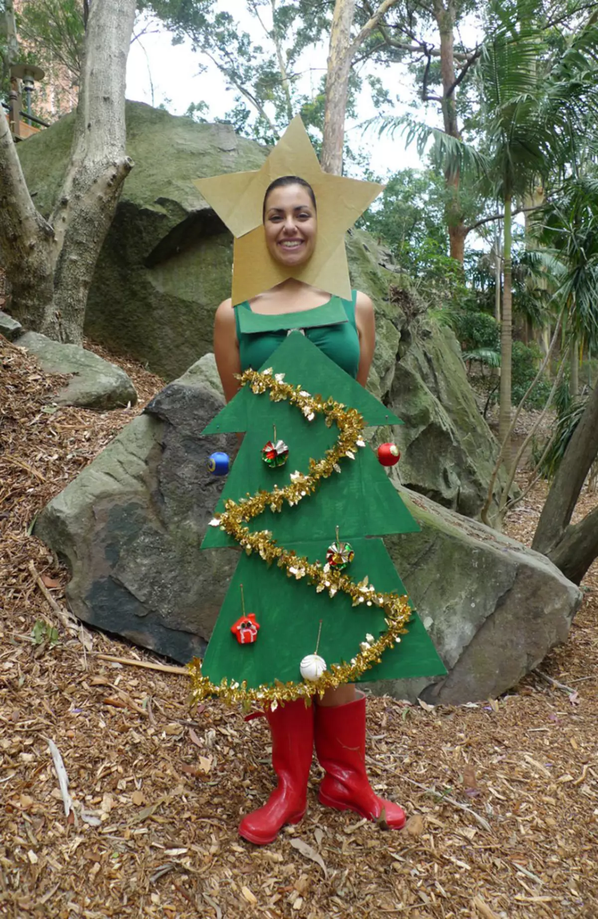 Vestit de l'arbre de Nadal. Com fer que el vestit de l'arbre d'Any Nou ho faci?