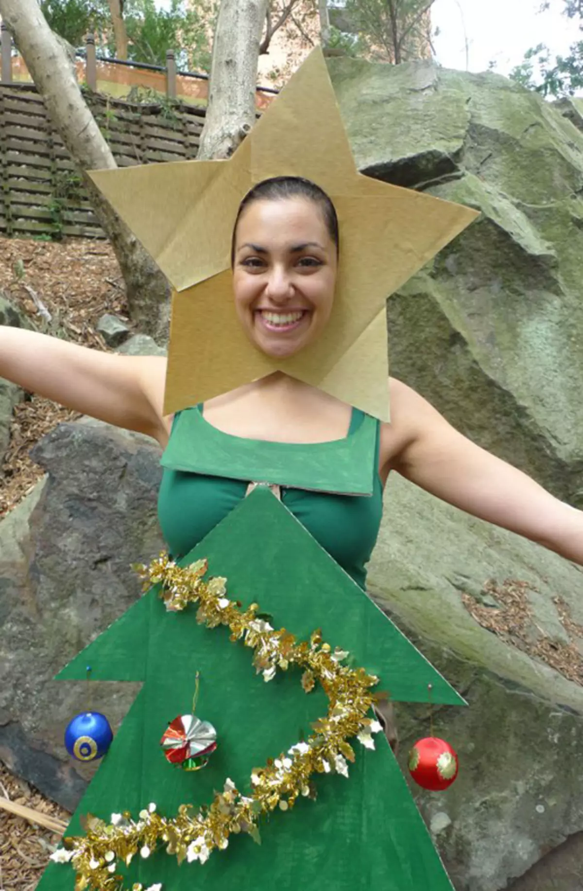 Vestit de l'arbre de Nadal. Com fer que el vestit de l'arbre d'Any Nou ho faci?