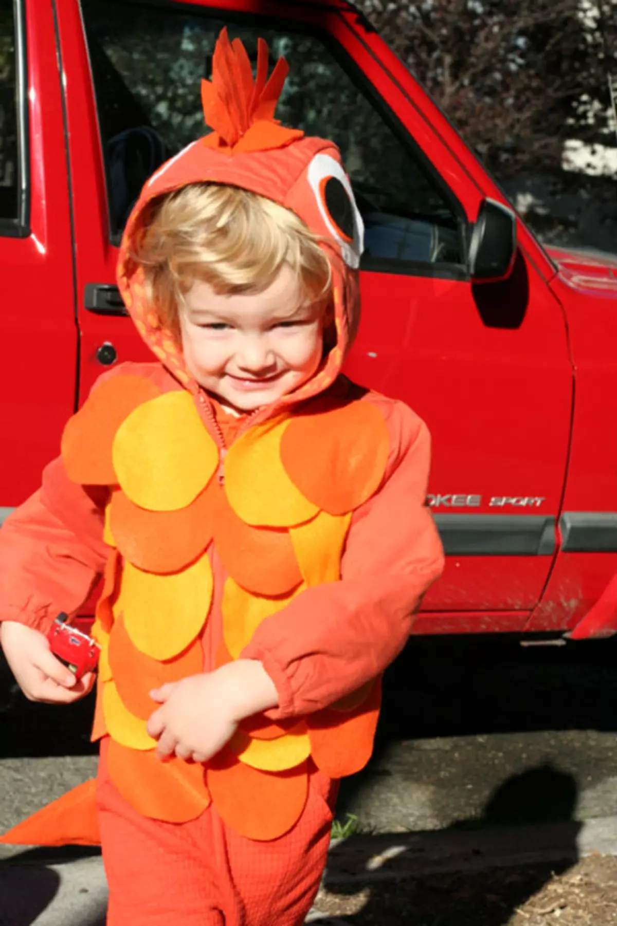 Costume de poisson. Comment faire du costume de poisson d'une nouvelle année avec vos propres mains?