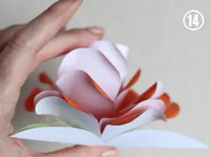 ¿Cómo hacer un papel de rosa? Rosas de papel corrugado, periódicos, papel decorativo.