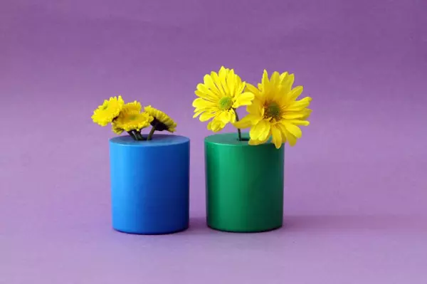 ดอกไม้จากลูกโป่ง วิธีการทำดอกไม้จากลูกโป่ง: ภาพถ่ายชั้นเรียนหลักและแนวคิด