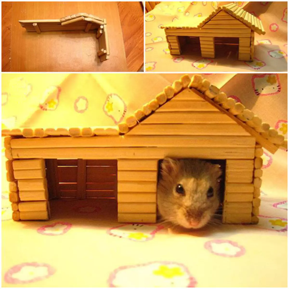 Houselọ maka hamster: esi mee ụlọ nke aka gị?