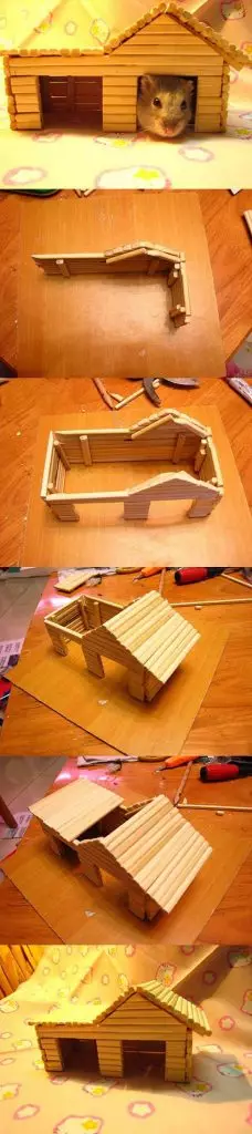 仓鼠的房子：如何用自己的手为仓鼠制作房子？