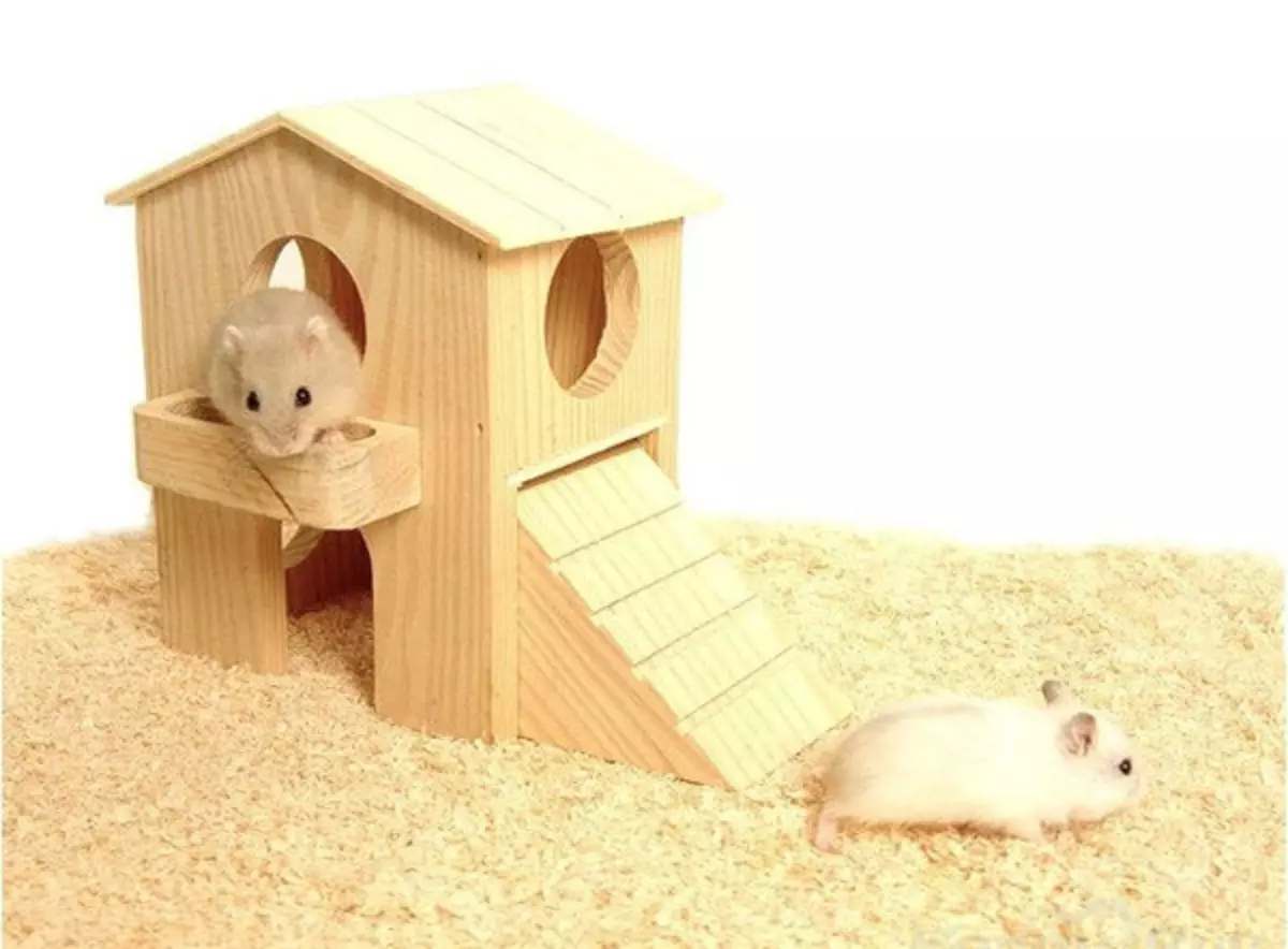 Casa para un hamster: como facer unha casa para un hamster coas túas propias mans?