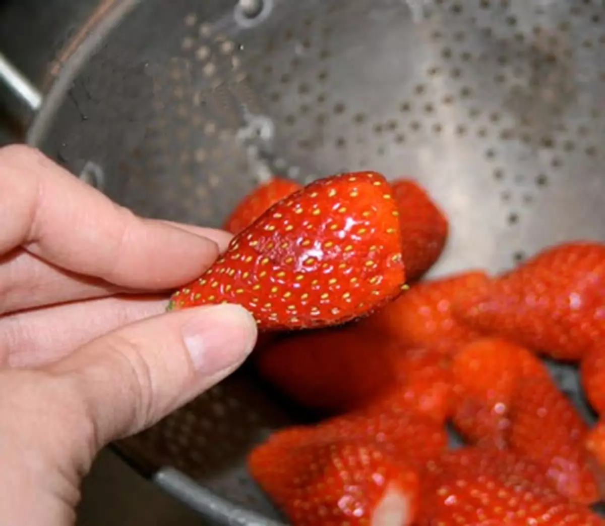 Resipi dengan Strawberi: Pokok Strawberry