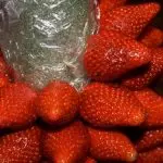 Mga Recipe na may Strawberries: Strawberry Tree.