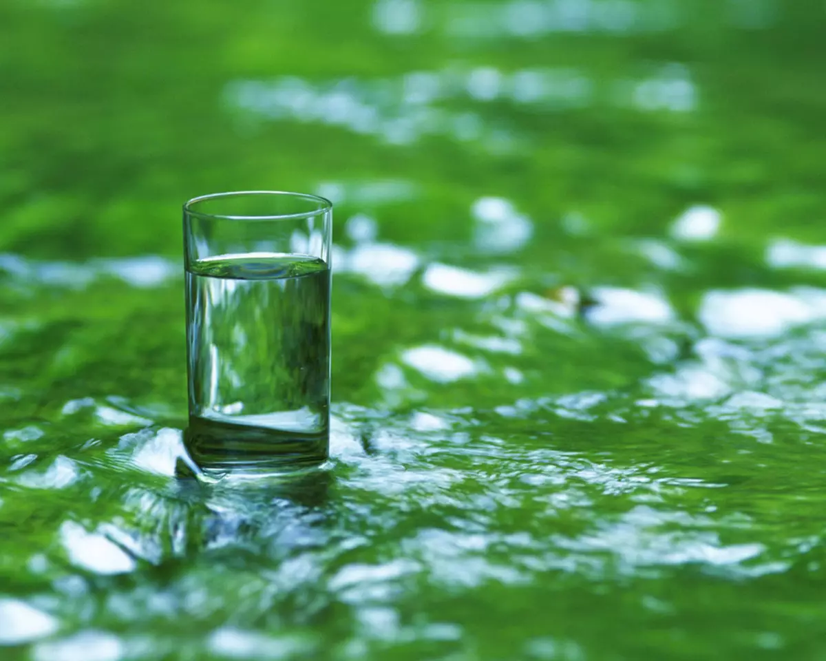 Filtro dell'acqua Dal bene. Come scegliere un filtro dell'acqua da un pozzo?