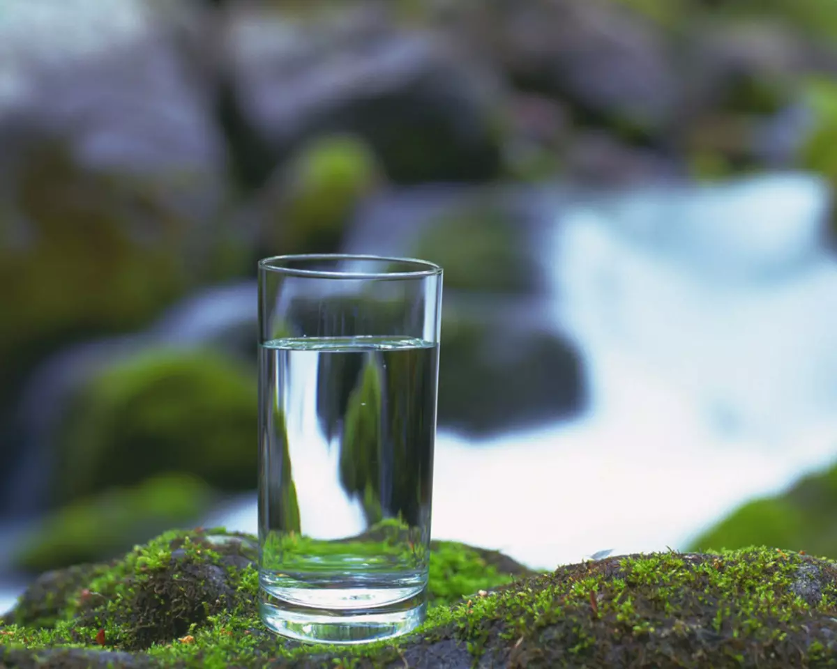 Filtro dell'acqua Dal bene. Come scegliere un filtro dell'acqua da un pozzo?