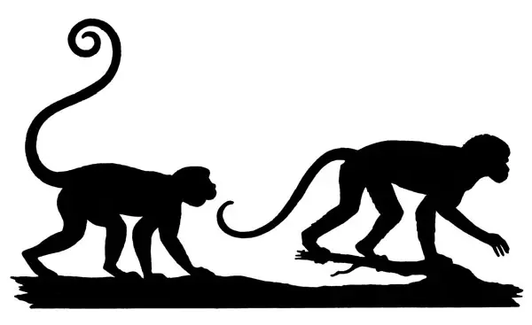 Stencil of Monkeys. Stencils de mono para cortar e decorar