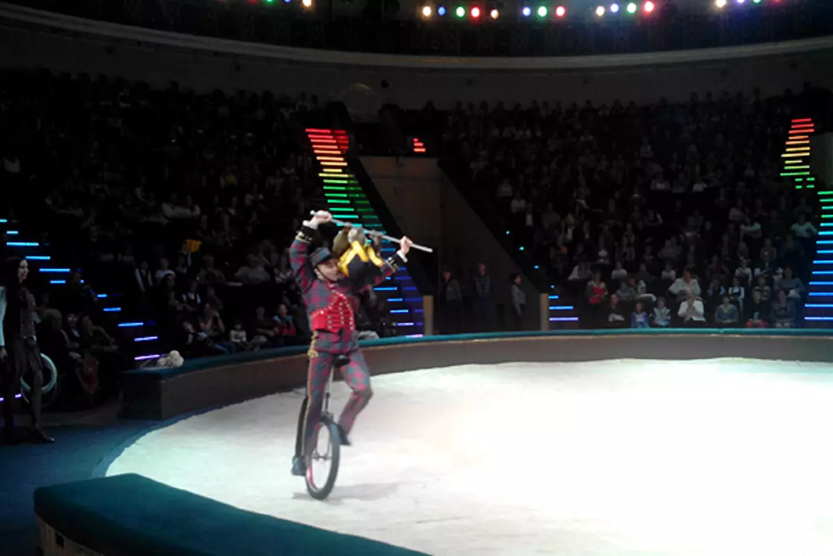 Circus Africa sa Minsk: Program, Mga Review, Mga Litrato ug Video