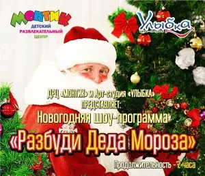 Persembahan Tahun Baru kanak-kanak di Minsk - 2016 1760_22