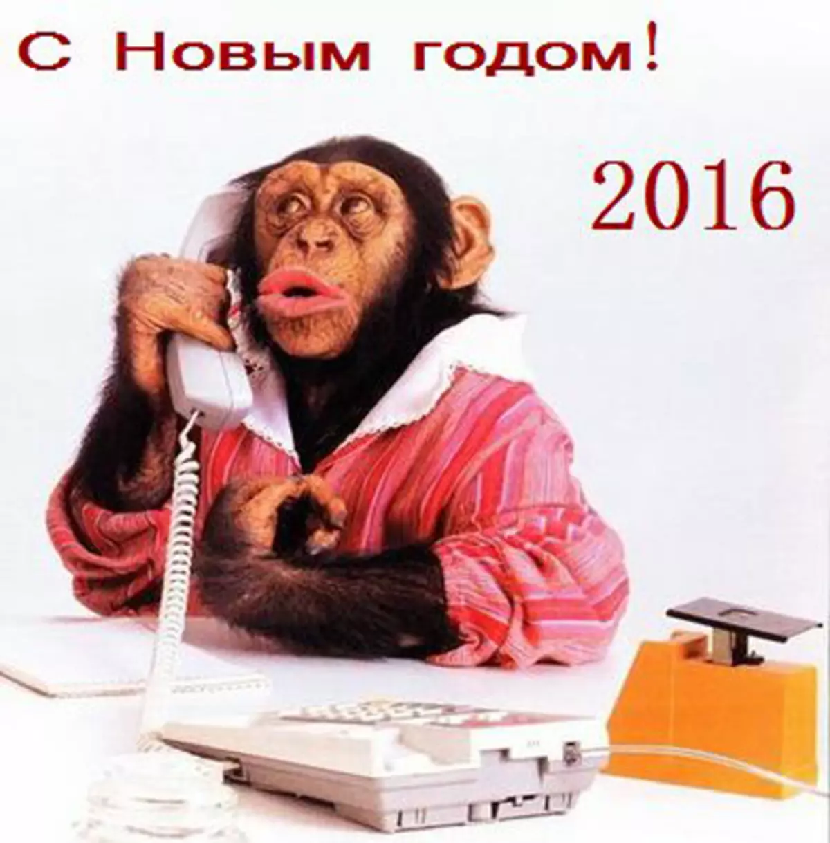 Xyoo Tshiab liab. Xyoo Tshiab Monkey 2016.