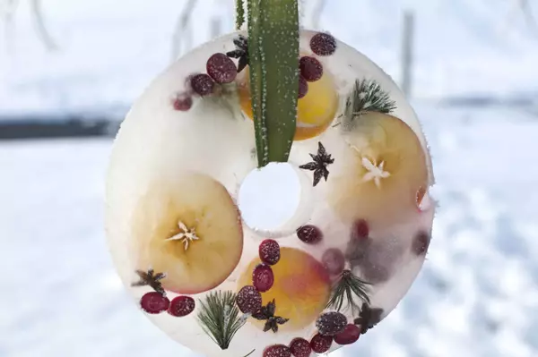Com decorar el pati al nou any per adorns de gel? Decoració de gel amb les teves mans