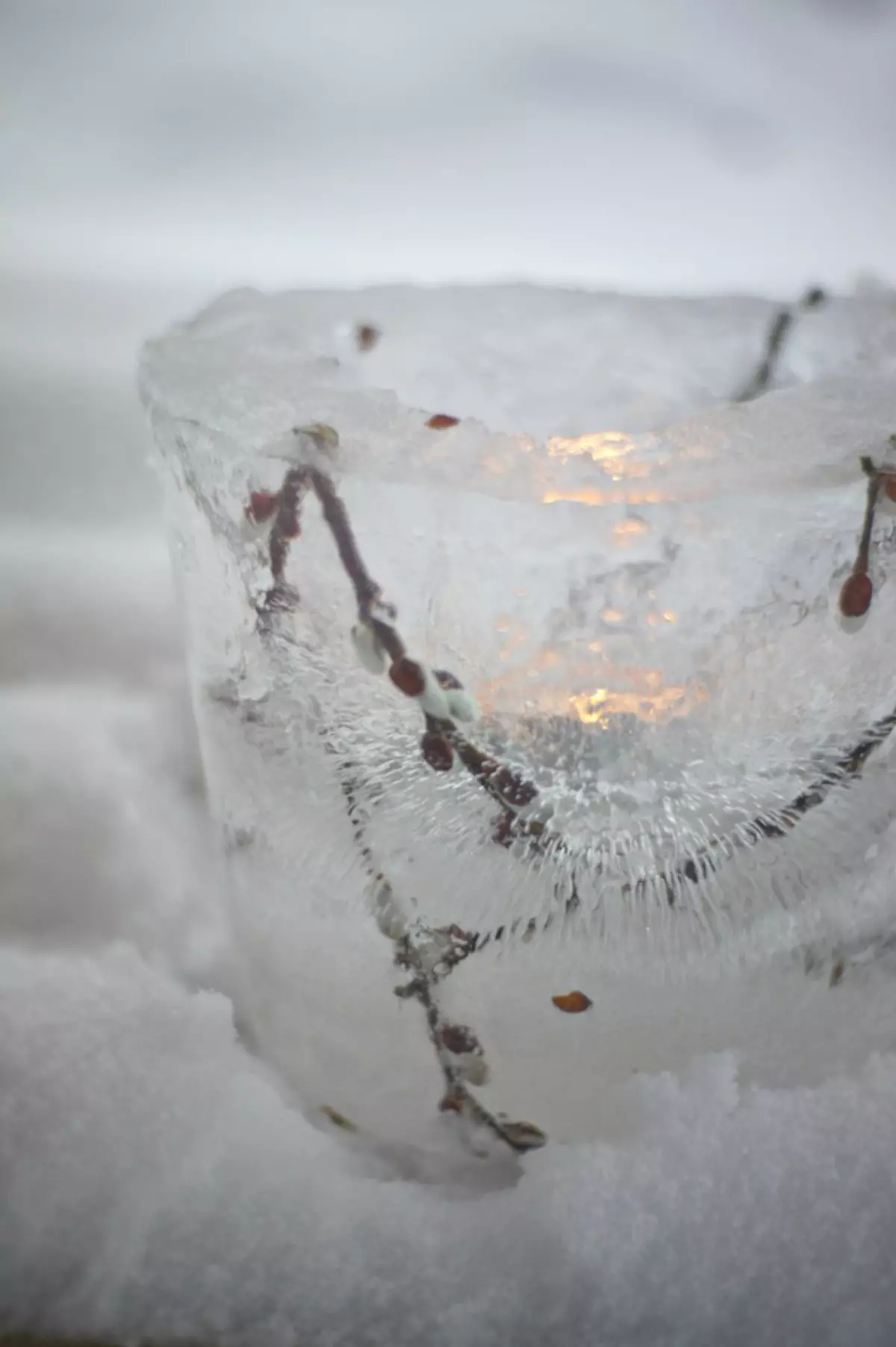Jak udekorować podwórze do nowego roku przez ozdoby lodu? Lodowa dekoracja ze swoimi rękami