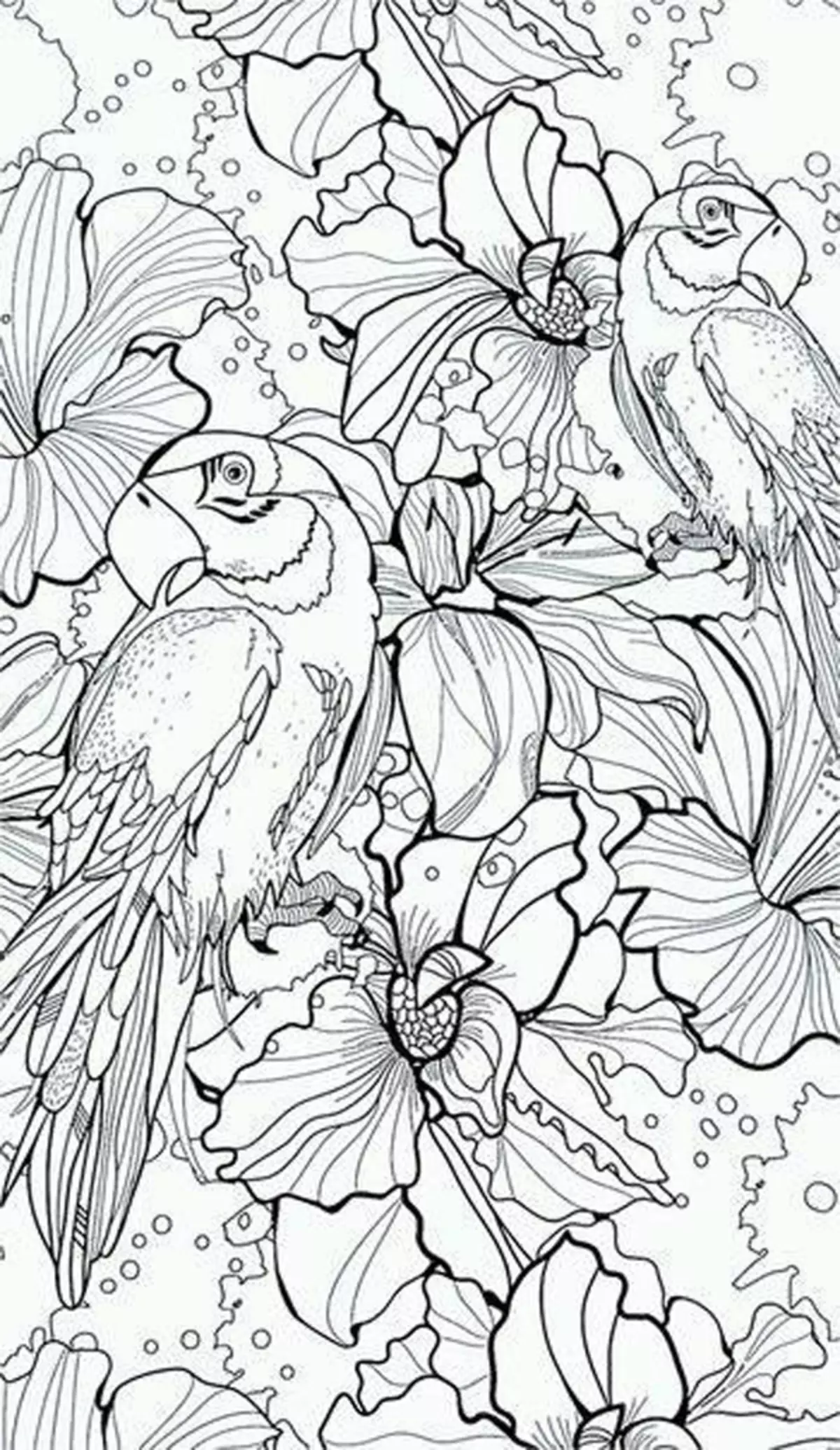 Coloring Antistress: Coloring for adults