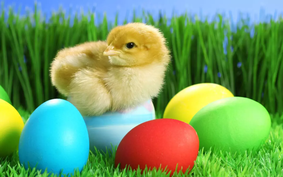 Великденски яйца. Как да украсите Великденските яйца?