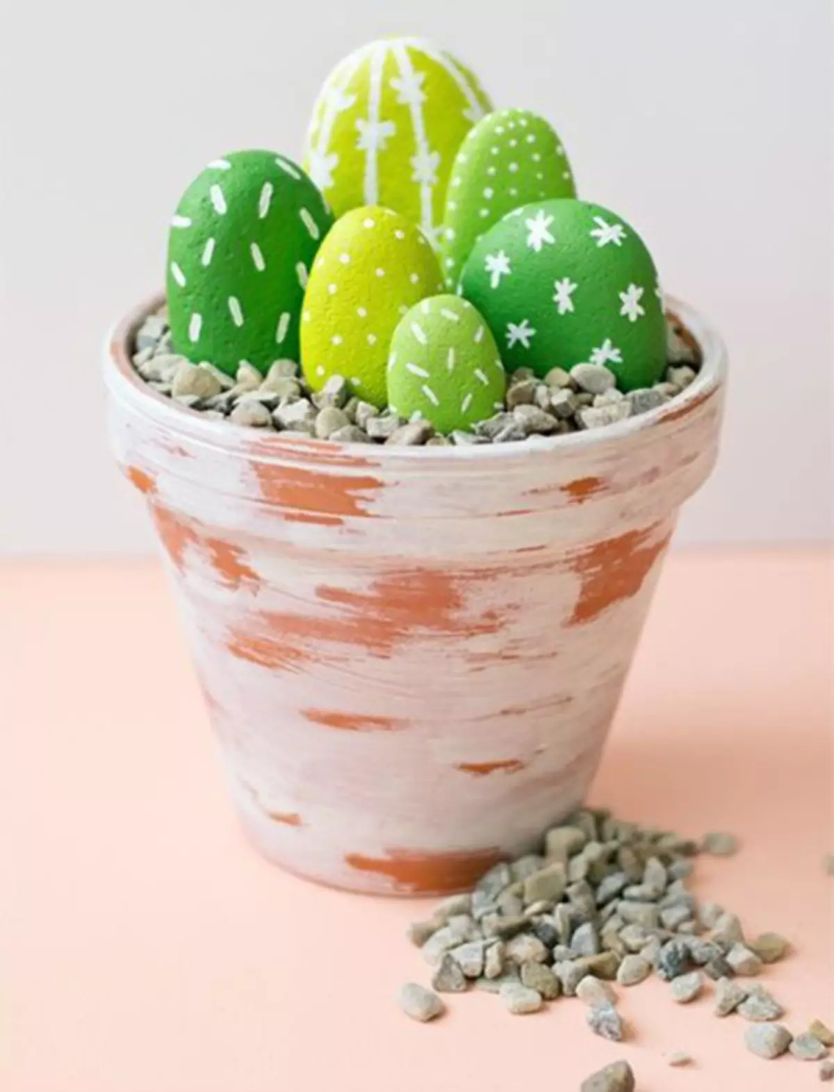 Cacti จากหิน: หินกระบองเพชรด้วยมือของตัวเอง