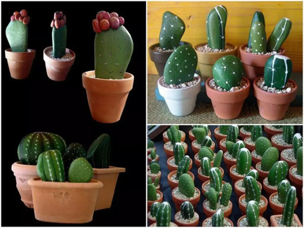 Cacti จากหิน: หินกระบองเพชรด้วยมือของตัวเอง