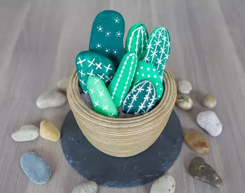 Cactus soti nan wòch: Cactus wòch ak pwòp men yo