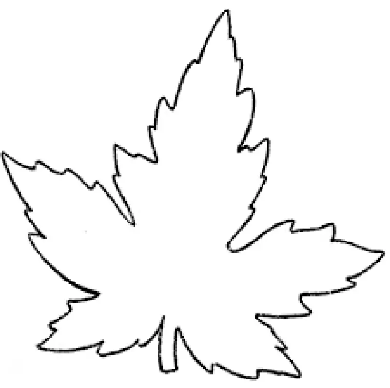 Leaf stencils, blaða sniðmát: Leaves fyrir klippa prenta