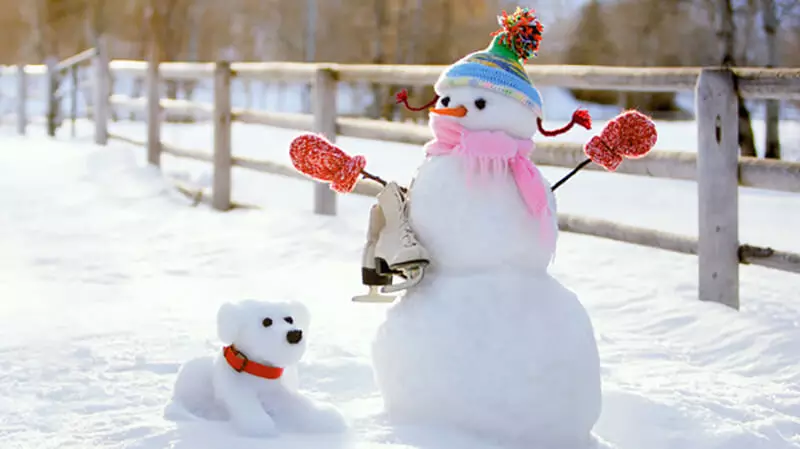 雪から雪だるまを磨く方法：指導、写真やアイデア