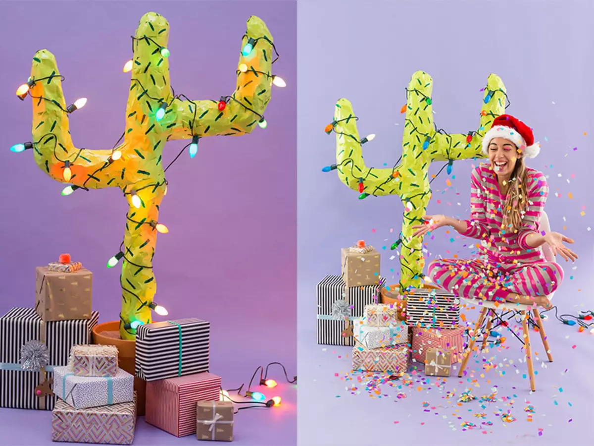 Novoročný kaktus: Caktus Vianočný strom s vlastnými rukami