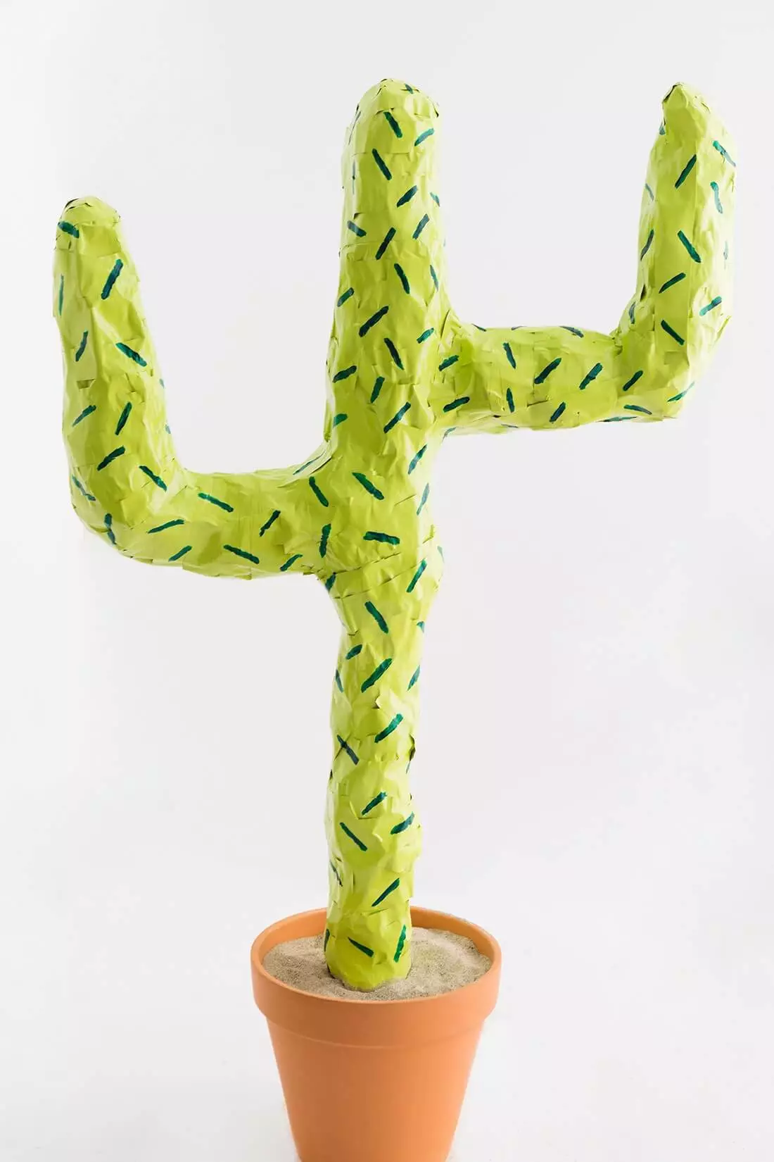 Cactus van het nieuwe jaar: Cactus kerstboom met je eigen handen