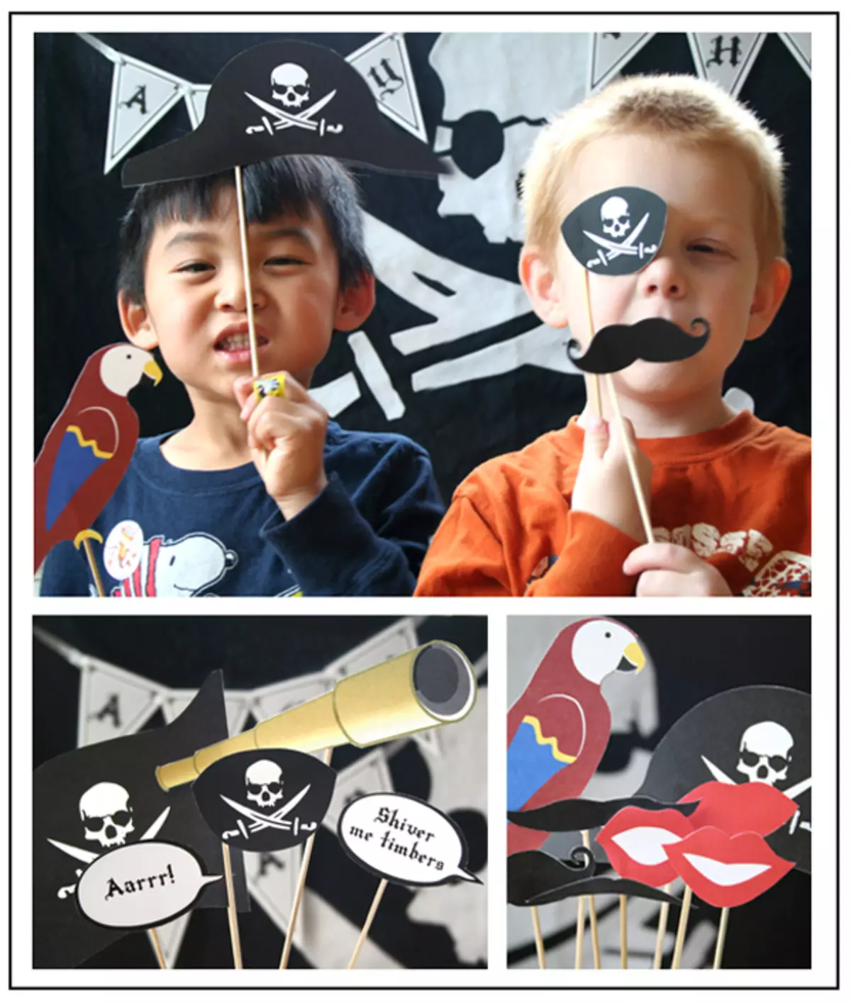 Pirate Party: Organization, Ideas and Registration Party