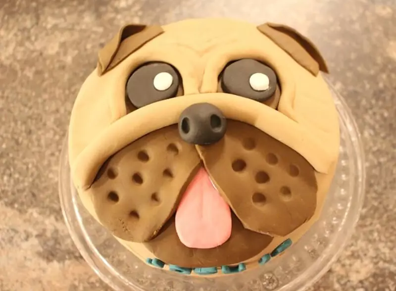 Tortų šuo tai daro patys. Naujųjų metų tortas šuo 2018: Nuotraukos, idėjos ir meistriškos klasės 2216_5