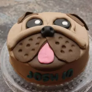 Tortų šuo tai daro patys. Naujųjų metų tortas šuo 2018: Nuotraukos, idėjos ir meistriškos klasės