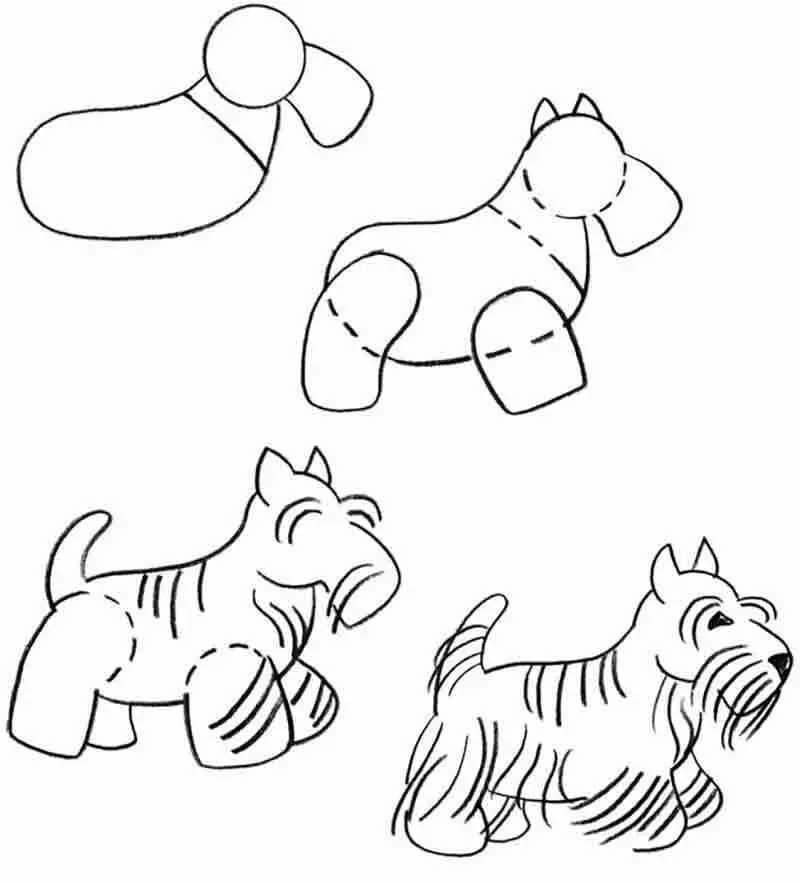 Comment dessiner un chien? Comment dessiner un chien dans un crayon phasé, des images de chiens dessinés 2229_10