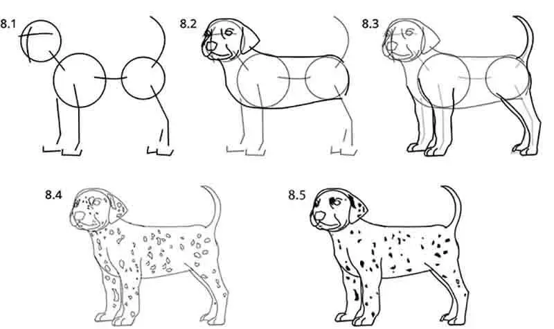 Com dibuixar un gos? Com dibuixar un gos en un llapis progressat, imatges de gossos dibuixats 2229_12