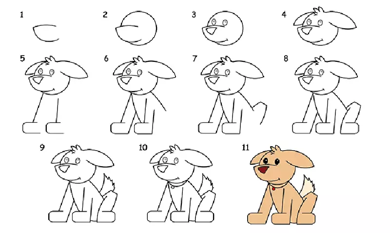 如何画一只狗？如何用逐步的铅笔画一只狗，画的狗的照片 2229_3