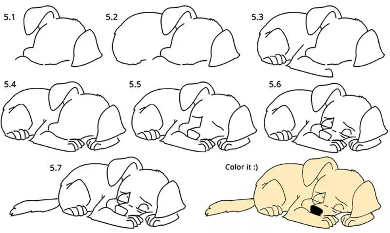 Comment dessiner un chien? Comment dessiner un chien dans un crayon phasé, des images de chiens dessinés 2229_4