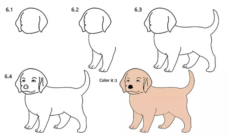 Hoe om 'n hond te teken? Hoe om 'n hond te teken in 'n gefaseerde potlood, foto's van getekende honde 2229_6