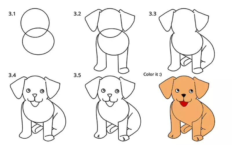 איך לצייר כלב? איך לצייר כלב בעיפרון שלבים, תמונות של כלבים מצוירים 2229_7