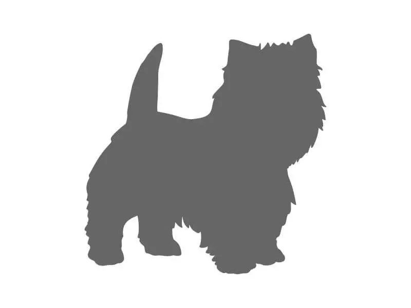 Stencil qen, model qen për prerje 2241_9