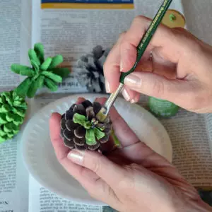Artesanía de conos con sus propias manos. ¿Qué se puede hacer de conos para el interior?