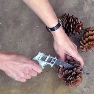 Artesanía de conos con sus propias manos. ¿Qué se puede hacer de conos para el interior?