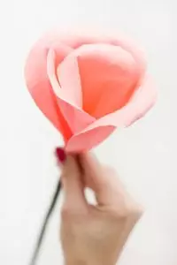 Guru Bunga dengan Tangan Anda Sendiri: Untuk Prom, Hari Guru, 1 September Dan Liburan Lainnya