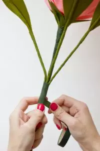 Flori Profesor cu propriile tale mâini: pentru Prom, Ziua profesorului, 1 septembrie și alte sărbători