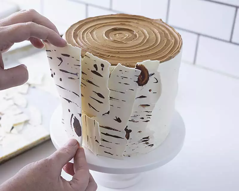 Stump torte. Kako ukrasiti tortu u obliku konopljenja? 2255_13