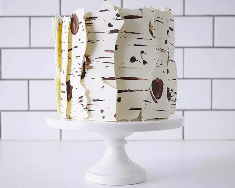Торта пън. Как да украсите торта под формата на коноп? 2255_14