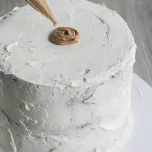 Ceppo di torta. Come decorare una torta sotto forma di una canapa?
